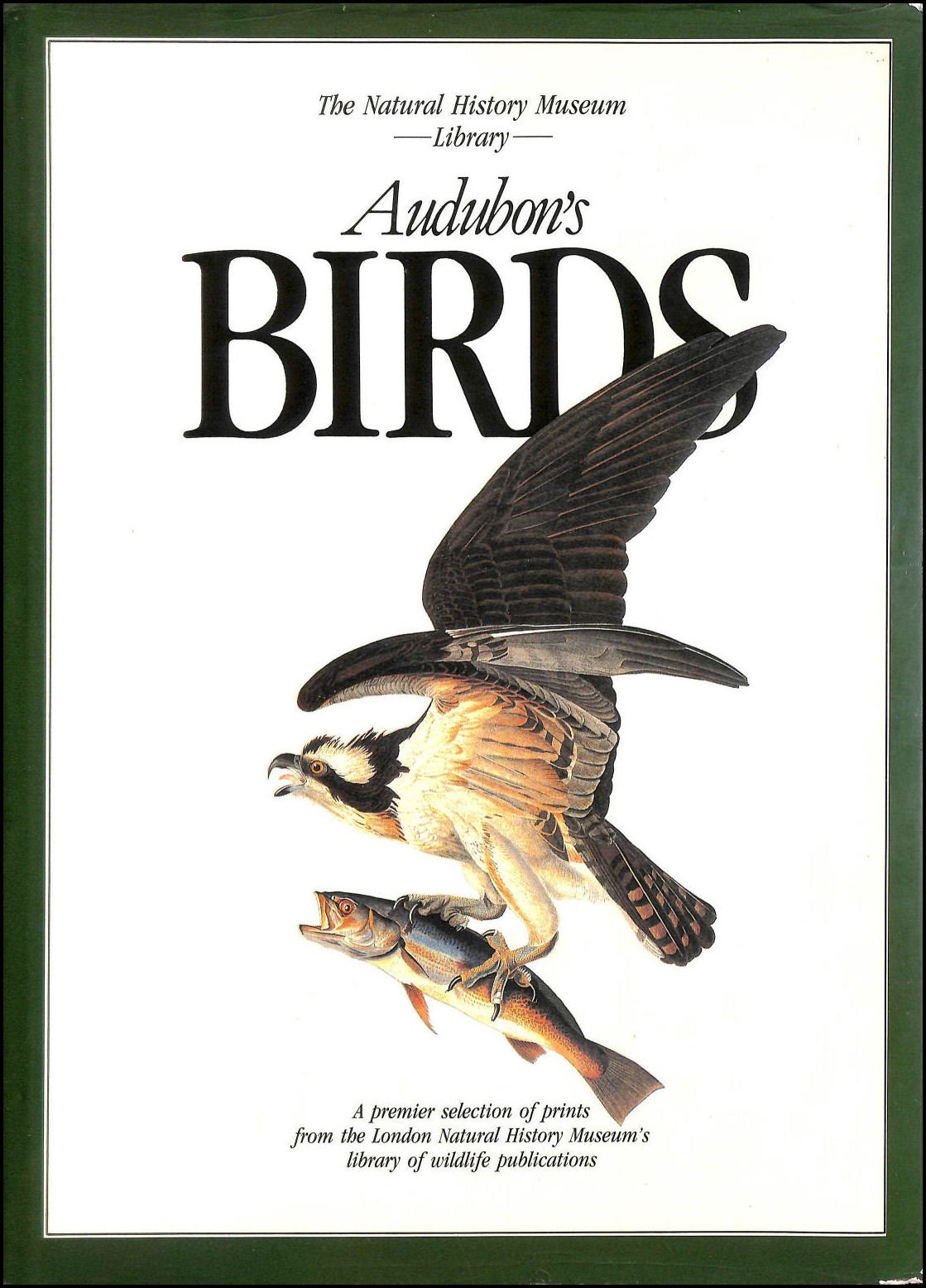 Audubon's Birds: A Selection of the Magnificent Illustrations by John ...
