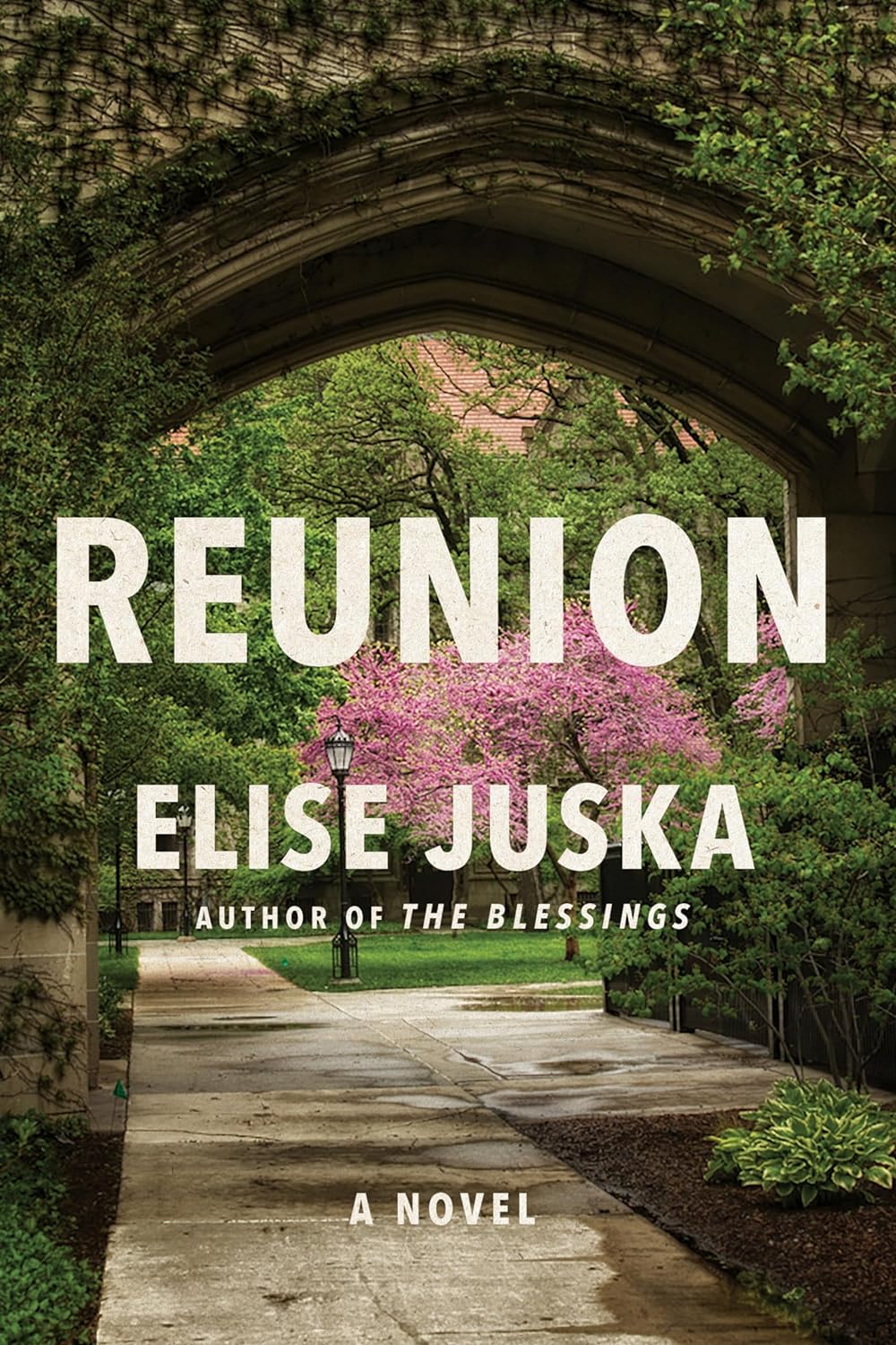 Reunion by Elise Juska | Goodreads