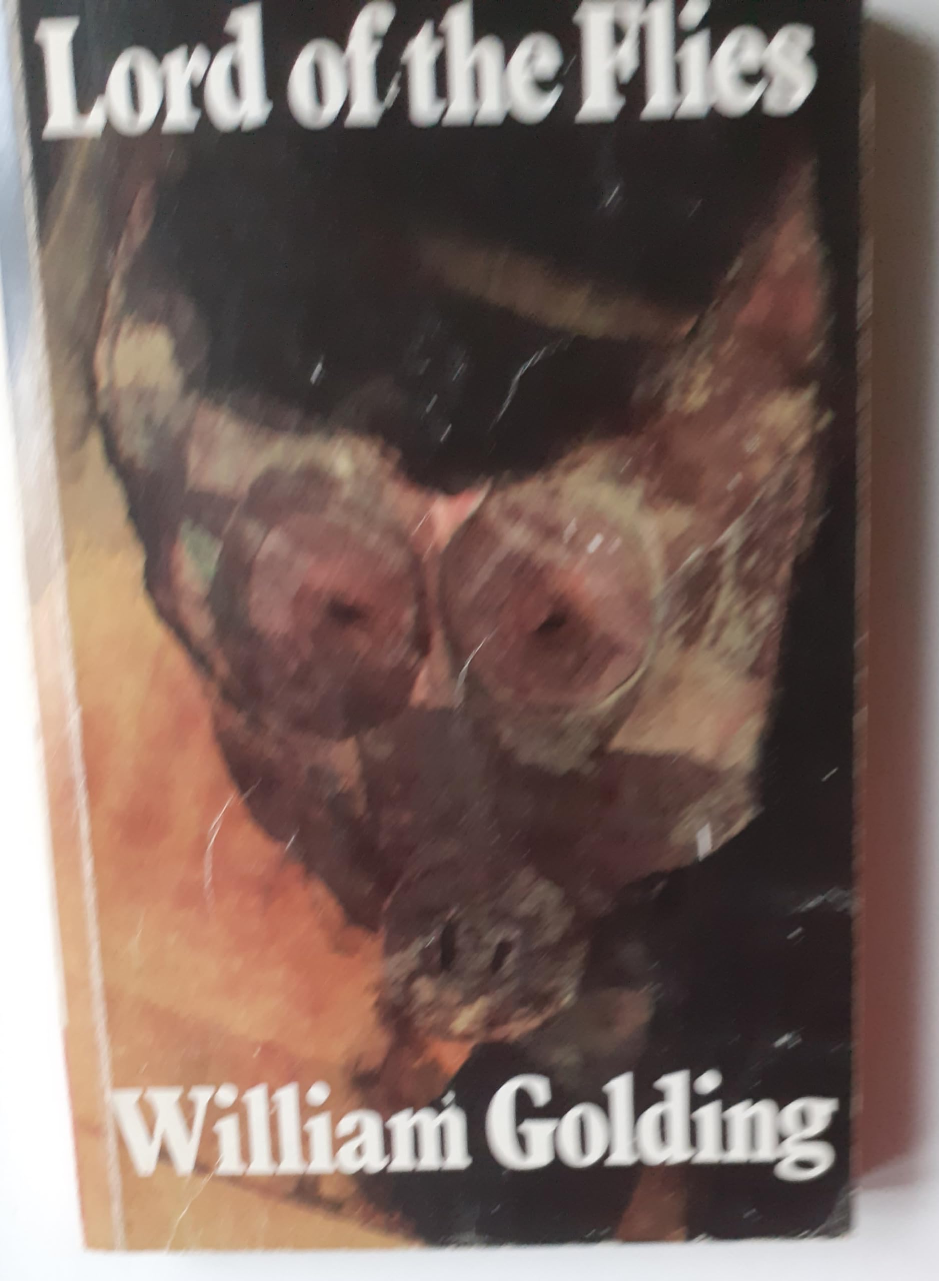 Lord of the Flies: William Golding (Philip Allan Literature Guide by ...