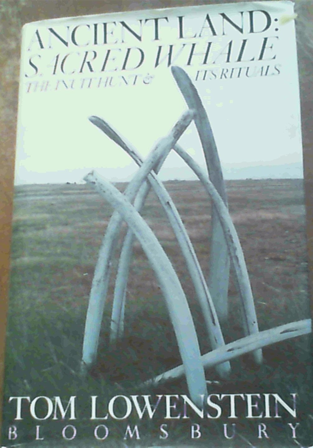 Ancient land, sacred whale: The Inuit hunt and its rituals by Tom ...
