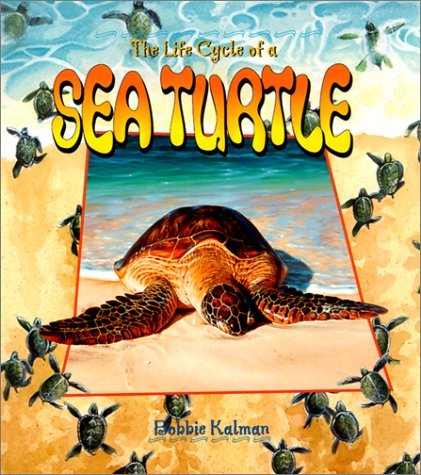 [The Life Cycle of a Sea Turtle] [Author: Bobbie Kalman] [January, 2002 ...