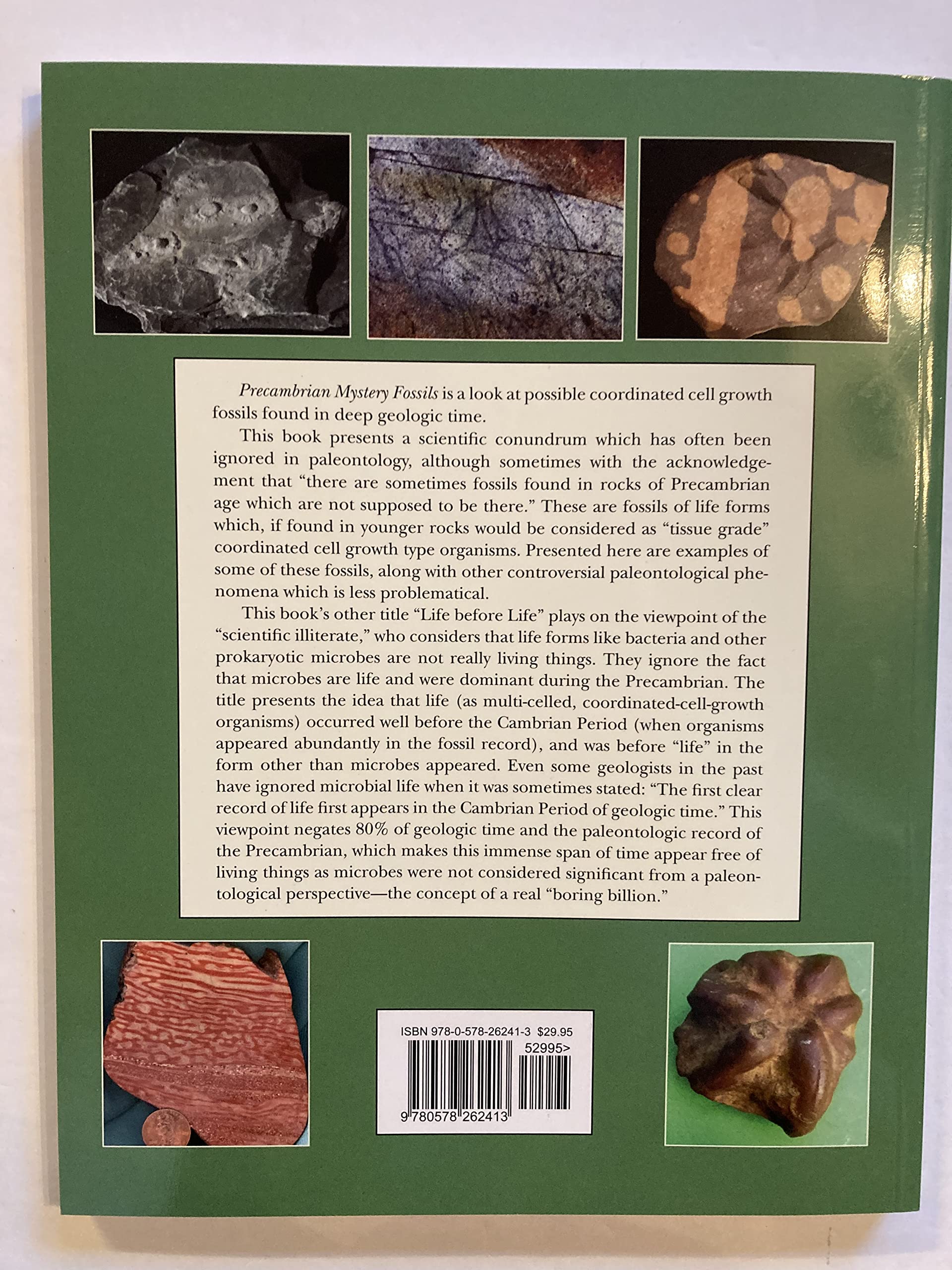 Precambrian Mystery Fossils by Bruce L. Stinchcomb | Goodreads