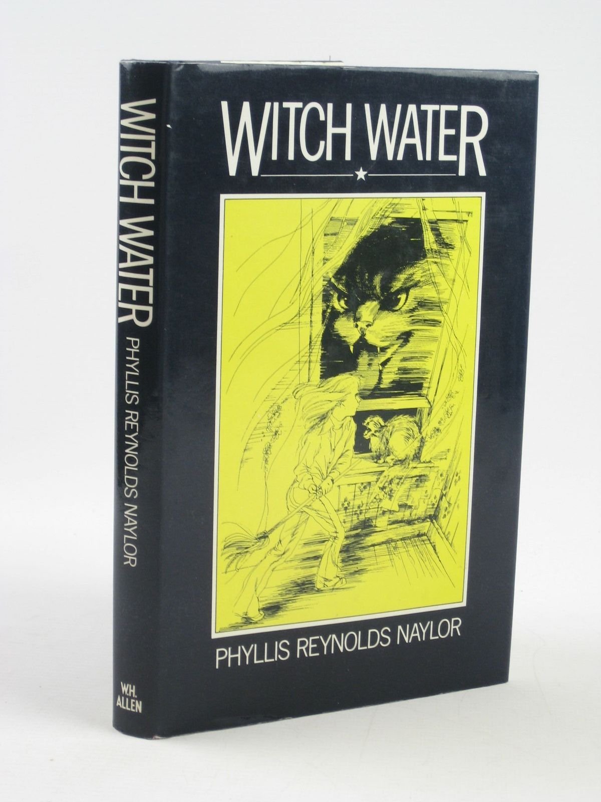 Witchwater by Phyllis Reynolds Naylor | Goodreads