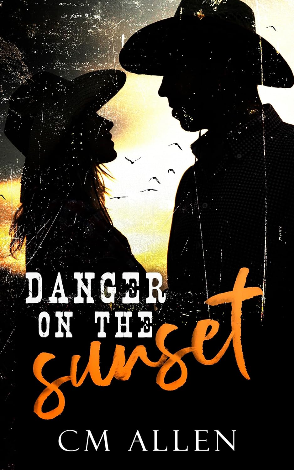 Danger on the Sunset by C.M. Allen | Goodreads