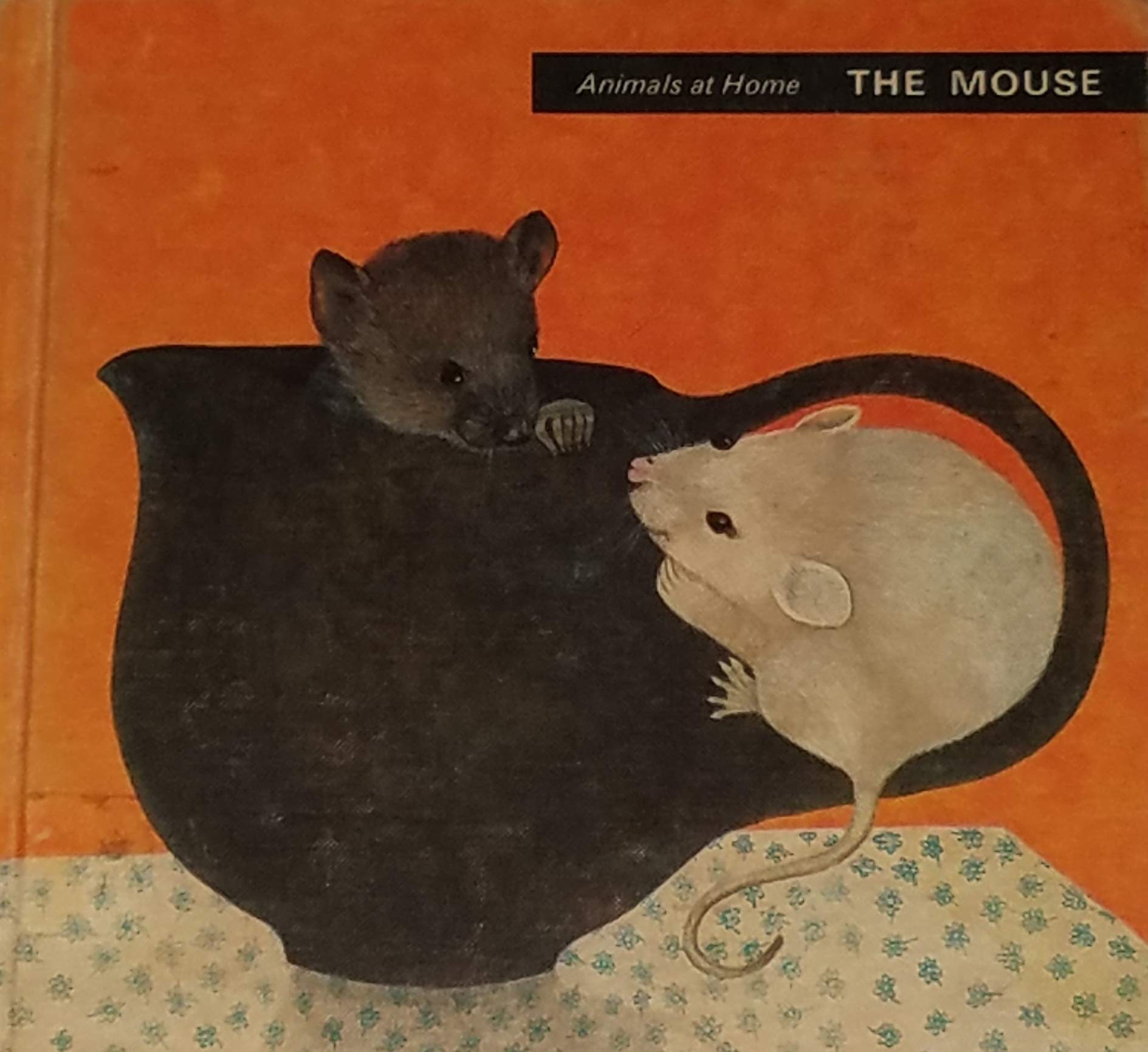 The Mouse. by Ilaine Roels | Goodreads