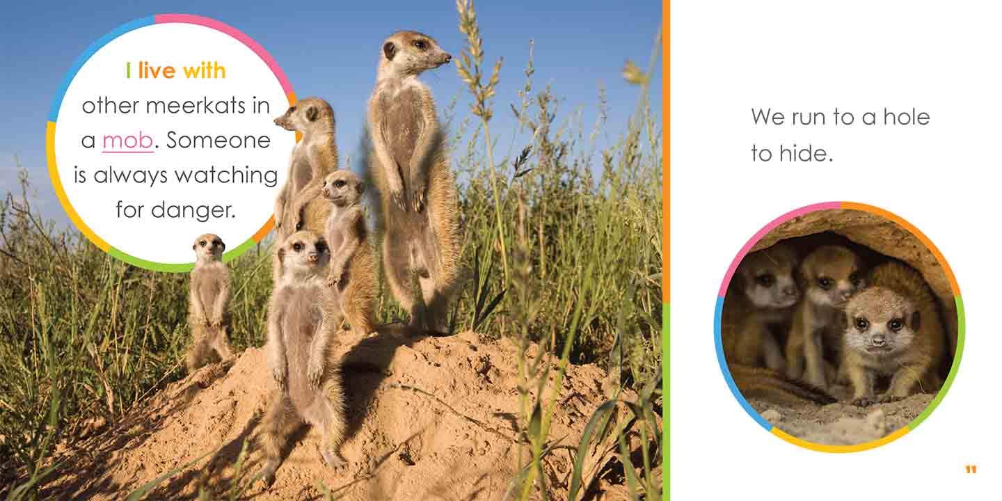 Baby Meerkats (Starting Out) by Kate Riggs | Goodreads