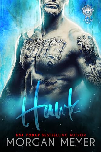 Hawk: a Fated Mates Shifter Romance (Beyond the Veil) by Morgan Meyer ...