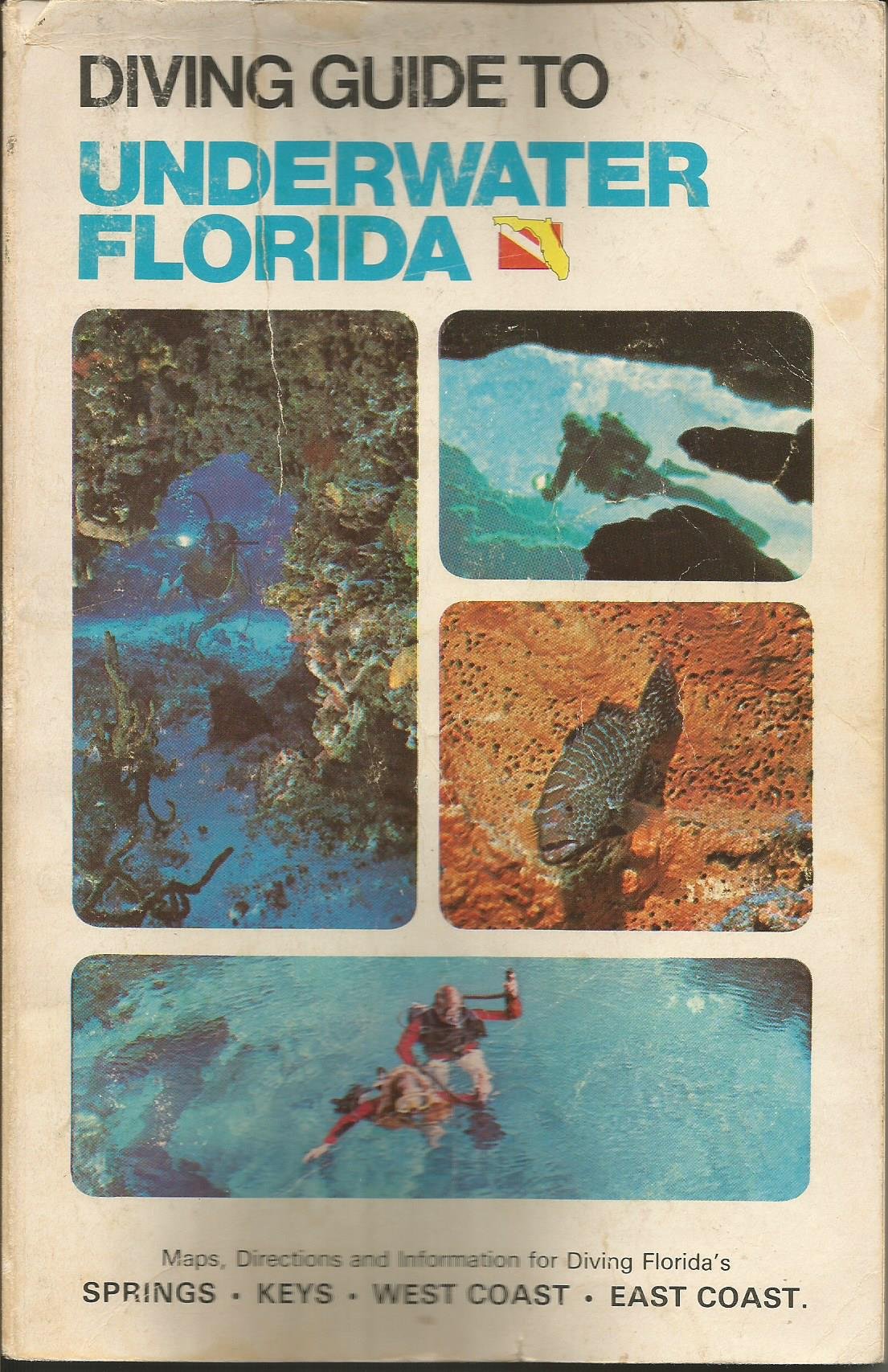 Ned DeLoach's Diving guide to underwater Florida: The most complete and ...