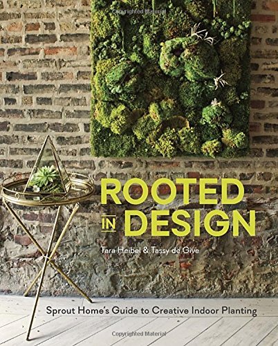 Rooted in Design: Sprout Home's Guide to Creative Indoor Planting by ...