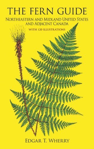 The Fern Guide: Northeastern and Midland United States and Adjacent ...