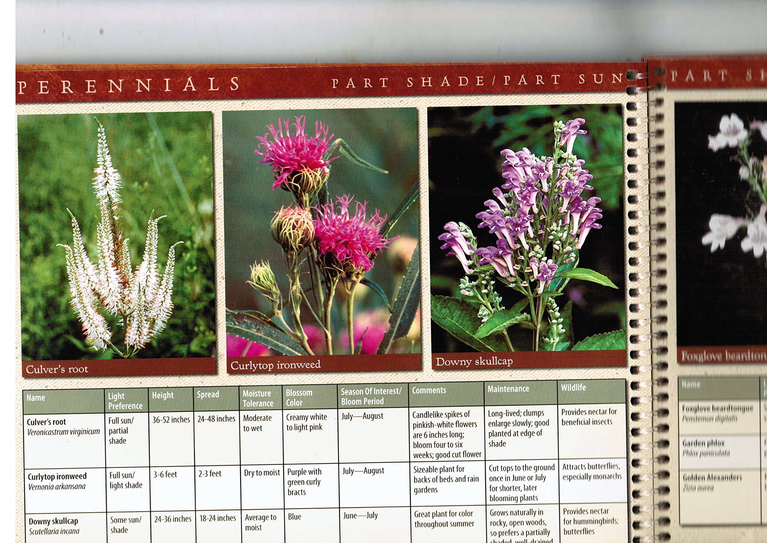 Tried & True Missouri Native Plants for Your Yard by Barbara Fairchild ...