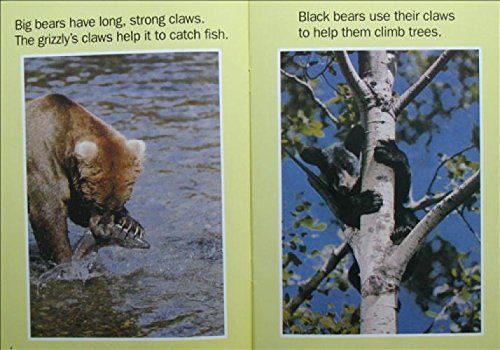 The Big Bears: Mini Book by Melvin A. Berger | Goodreads