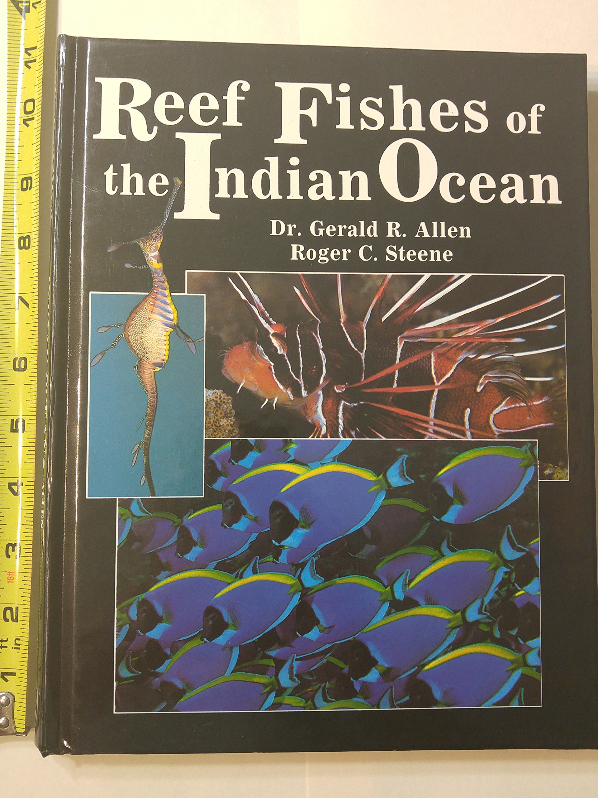 Reef Fishes of the Indian Ocean: A Pictorial Guide to the Common Reef ...