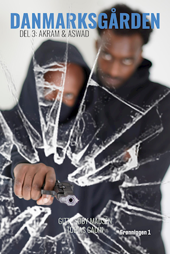 Akram & Aswad (Danmarksgården #3) by Tobias Cadin | Goodreads
