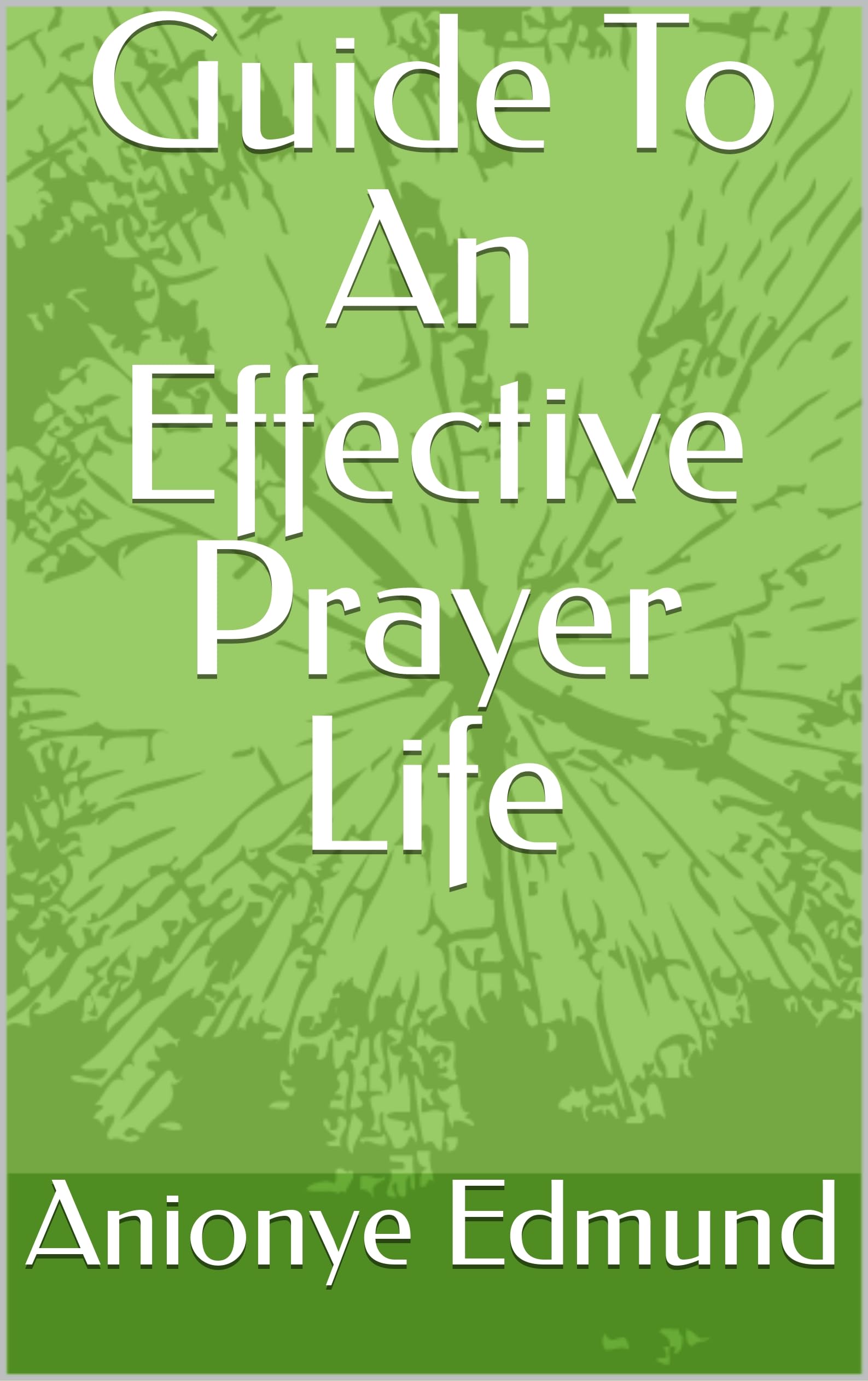 Guide To An Effective Prayer Life by Anionye Edmund | Goodreads