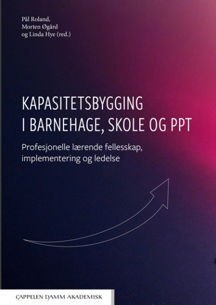 Kapasitetsbygging i barnehage, skole og ppt. Profesjonelle lærende ...