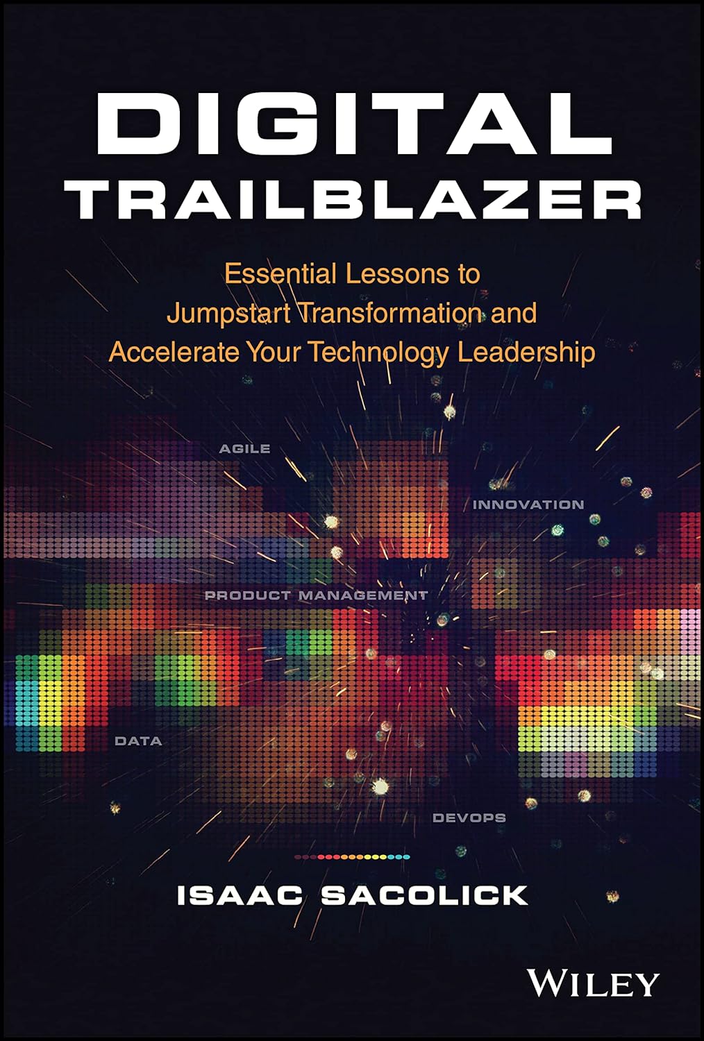 Digital Trailblazer: Essential Lessons to Jumpstart Transformation and ...