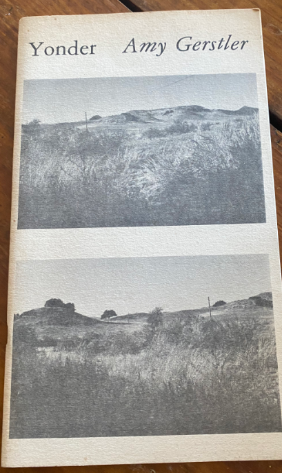 Yonder by Amy Gerstler | Goodreads