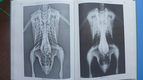 Atlas of Avian Radiographic Anatomy by Stephen A. Smith | Goodreads