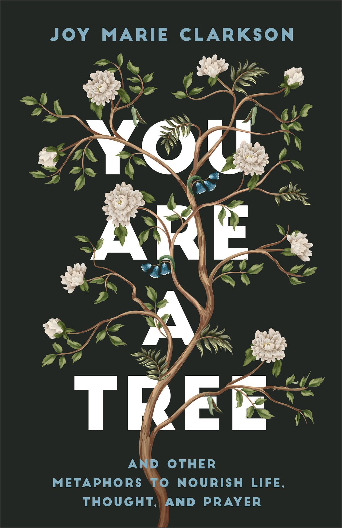 You Are a Tree: And Other Metaphors to Nourish Life, Thought, and ...