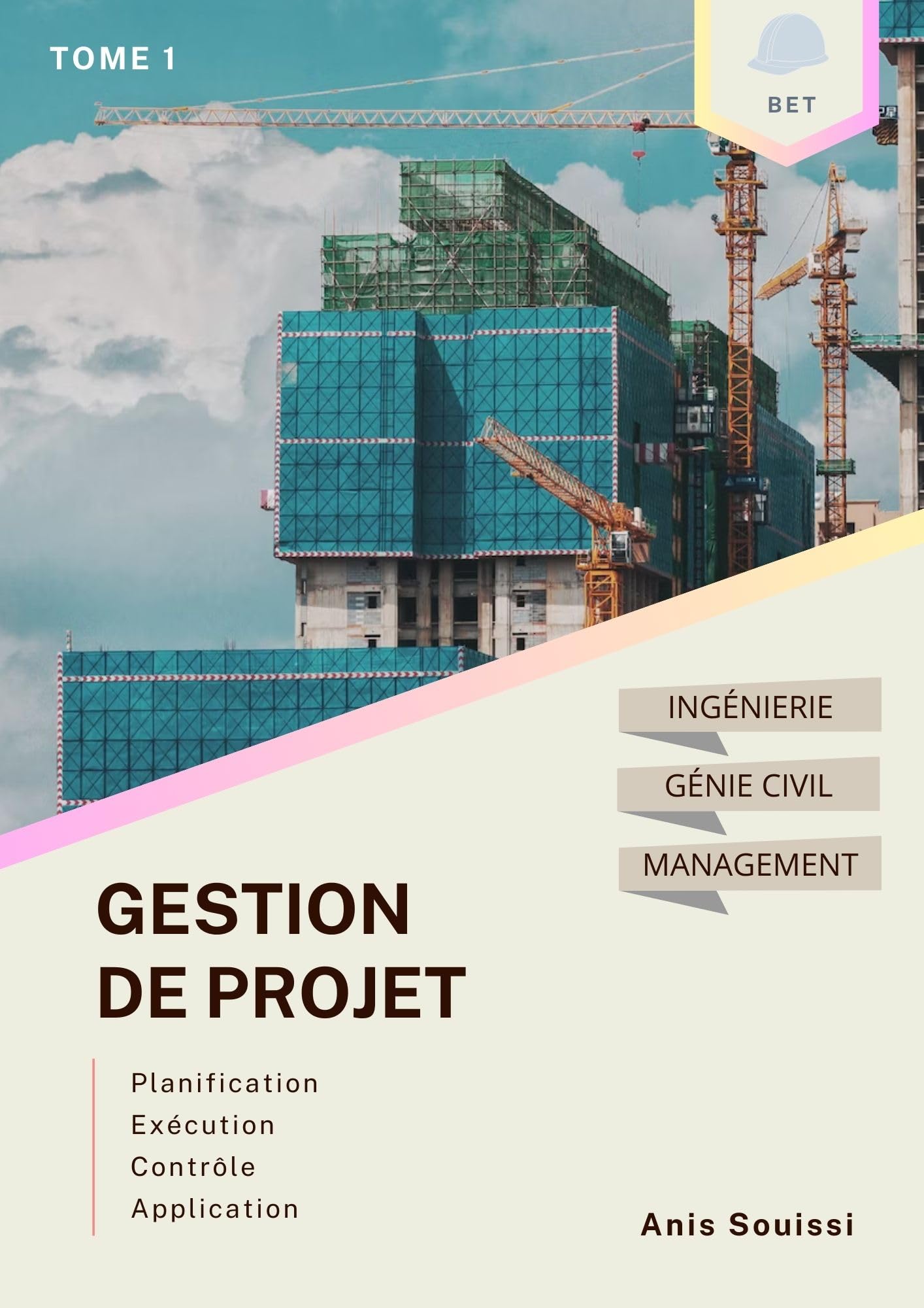 Maîtrise Des Projets BTP : L'Essentiel De La Gestion De projets PMP ...