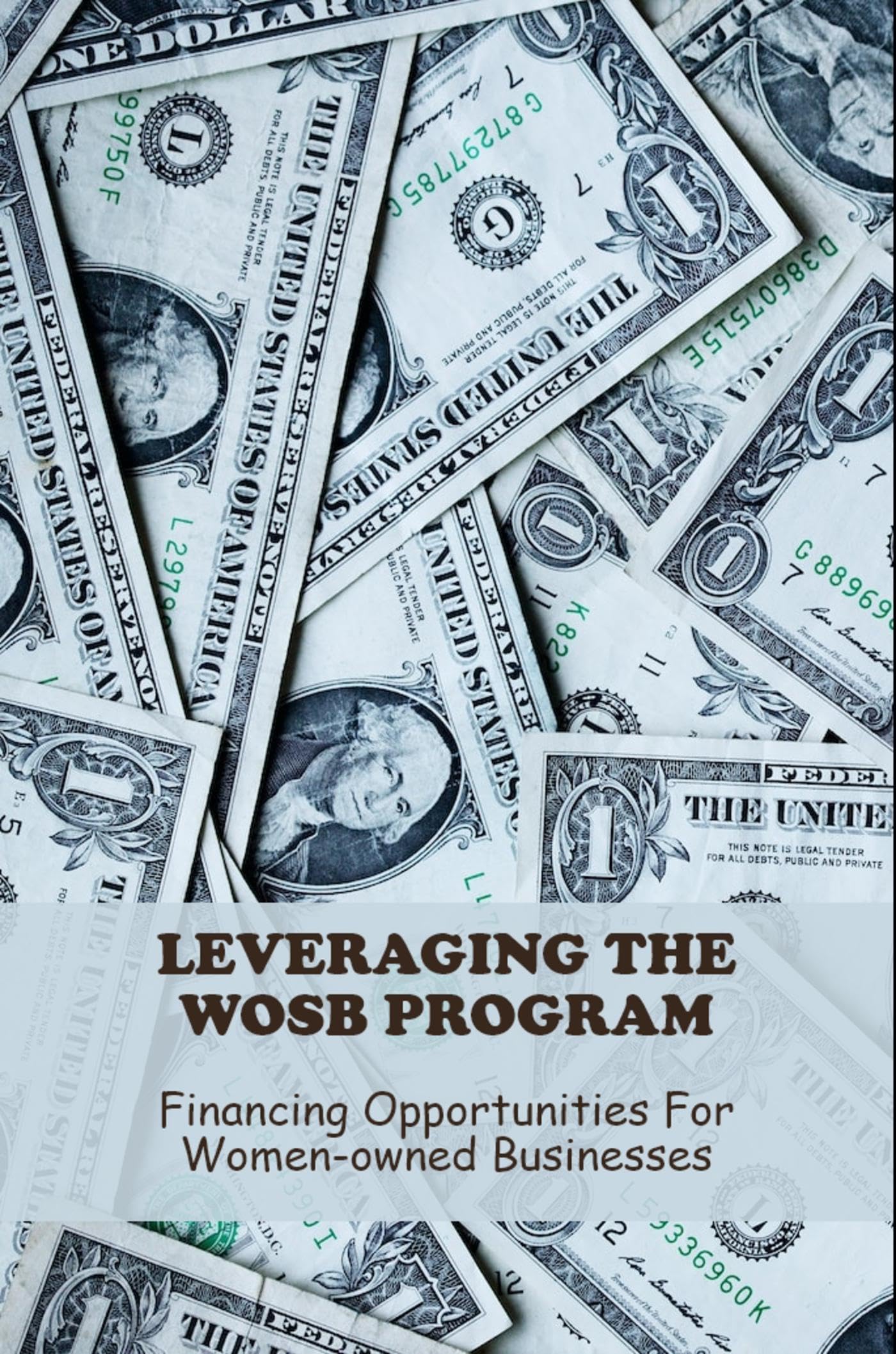 Leveraging The Wosb Program: Financing Opportunities For Women-Owned ...
