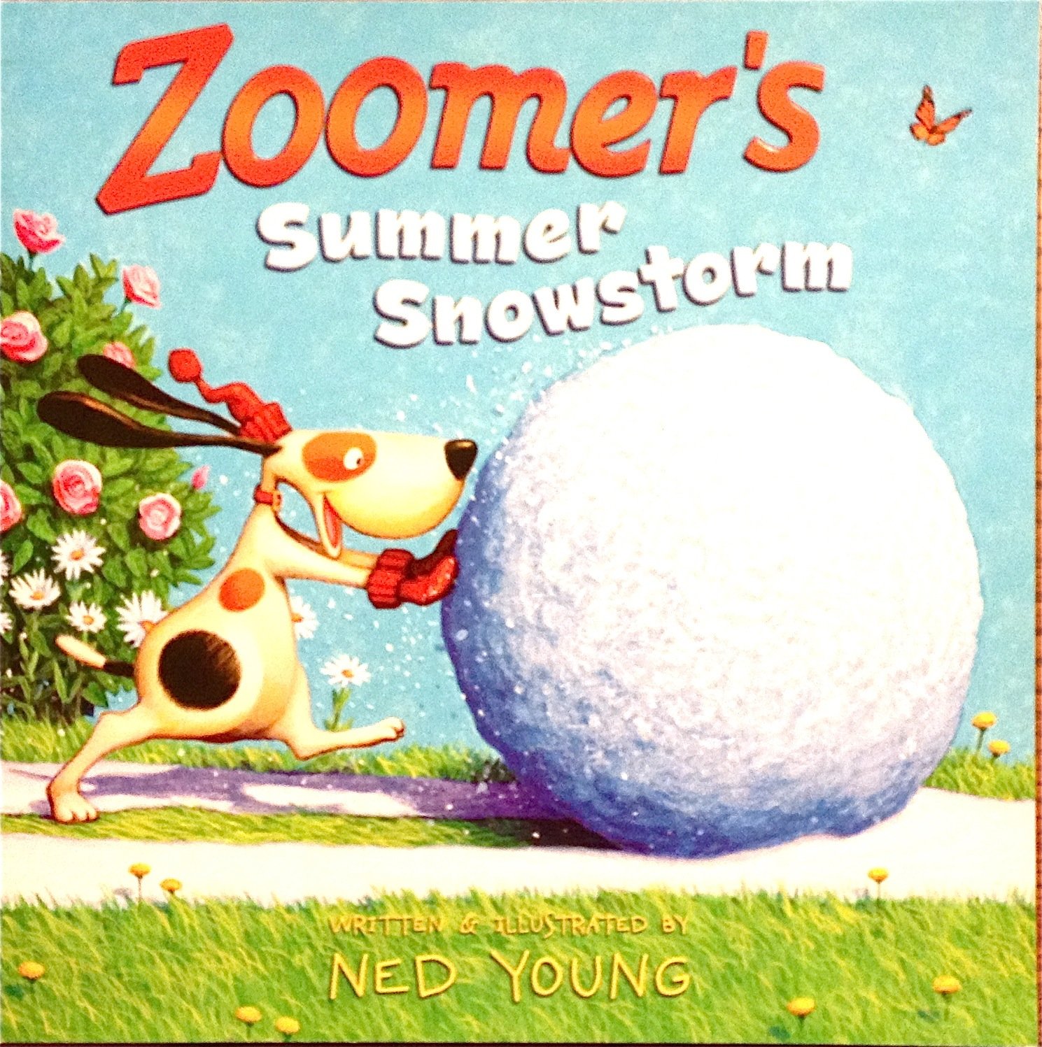 Zoomer's Summer Snowstorm by Ned Young | Goodreads
