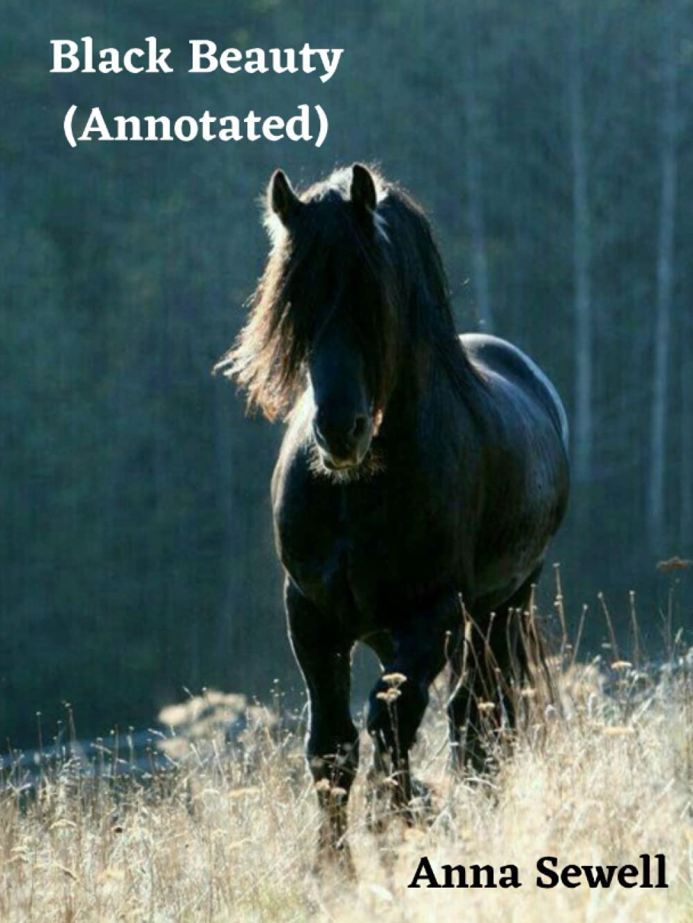 Black Beauty (Annotated) by Anna Sewell | Goodreads