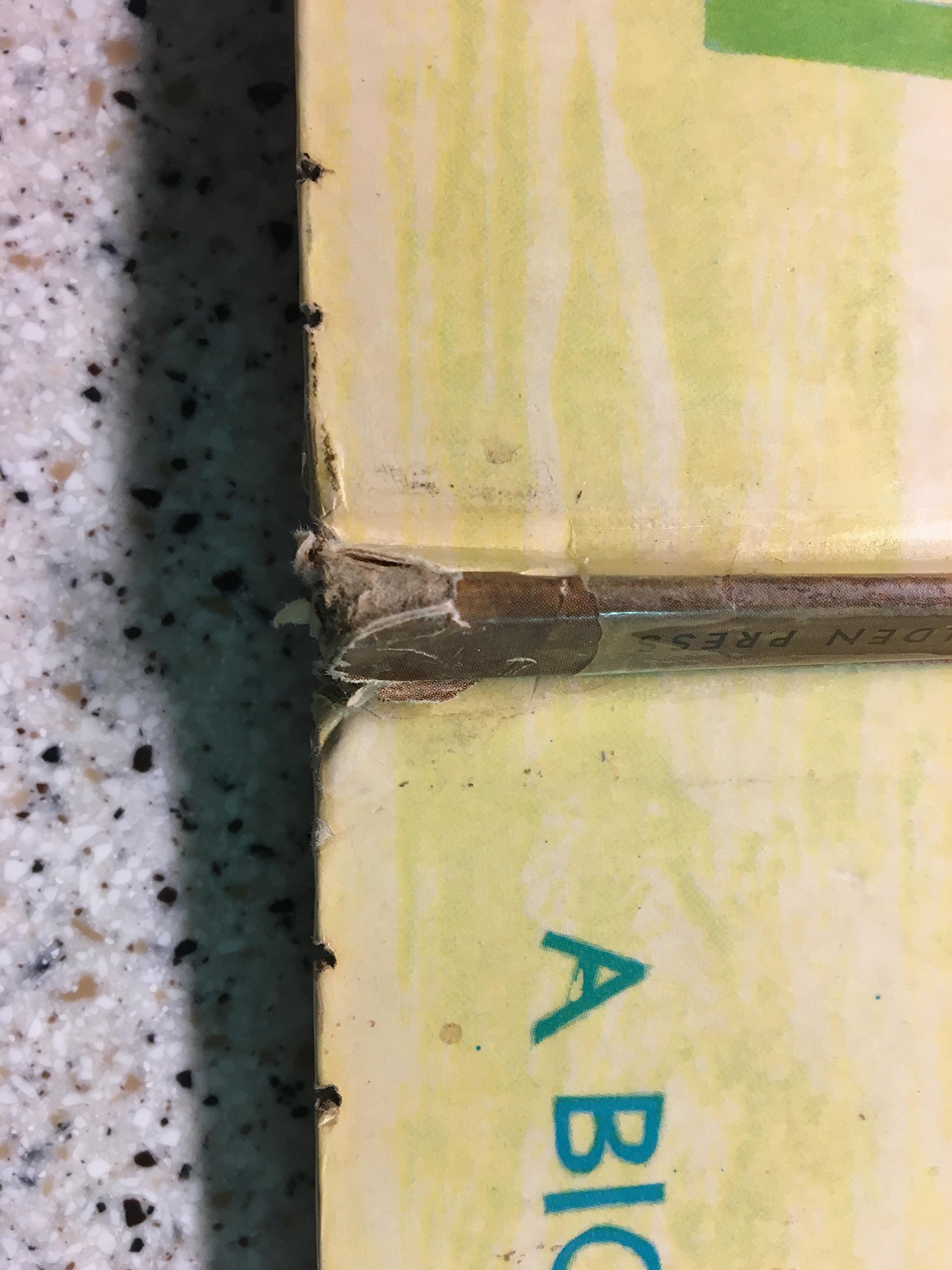 The Color Kittens: A Child's First Book About Colors by Margaret Wise ...