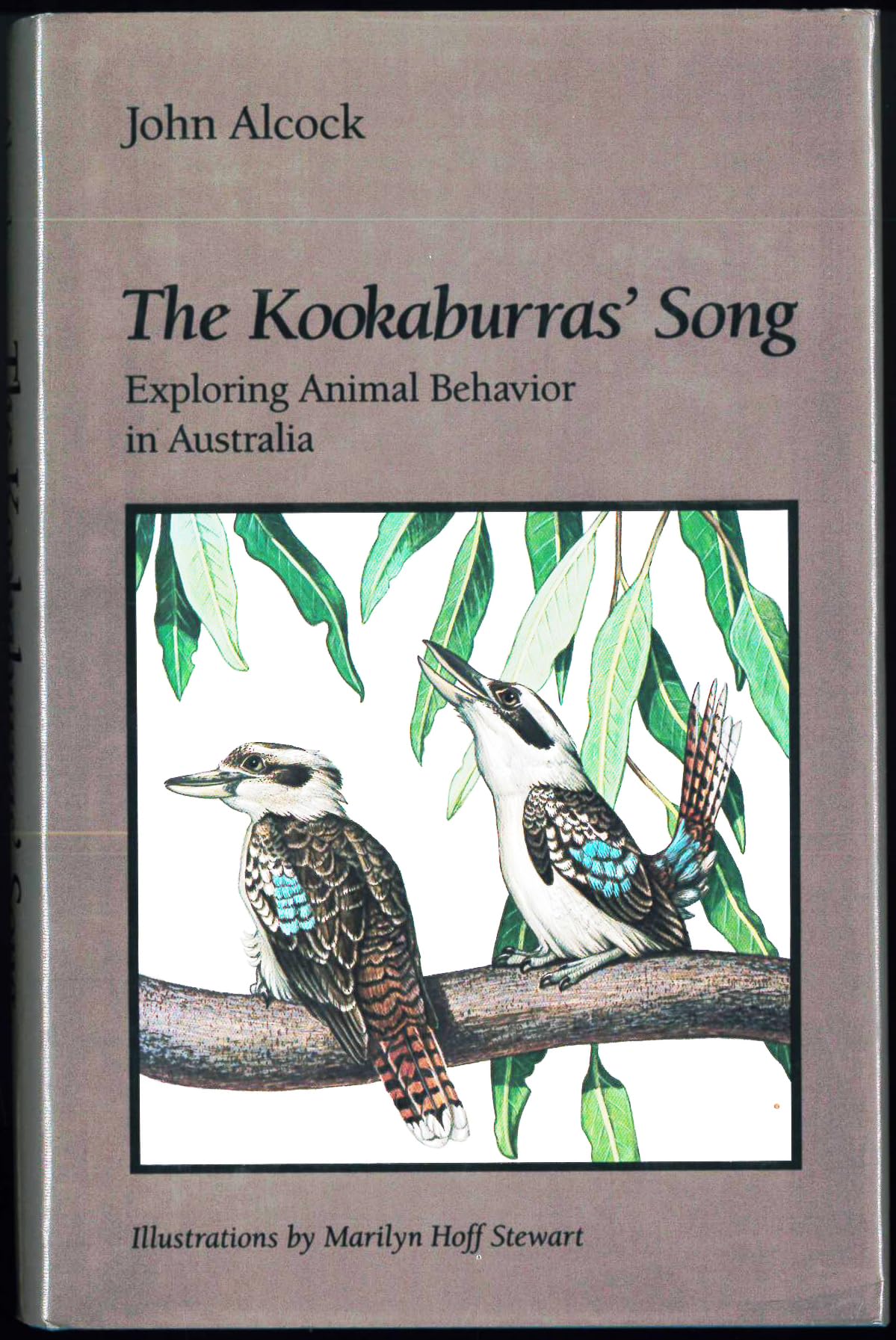 The Kookaburras' Song: Exploring Animal Behavior in Australia, 1st ...