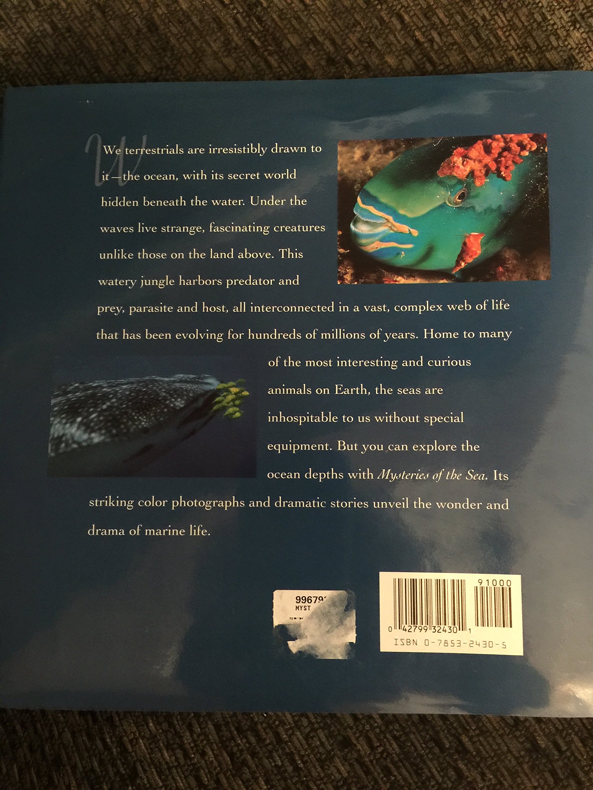 Mysteries of the sea by Doug Perrine | Goodreads