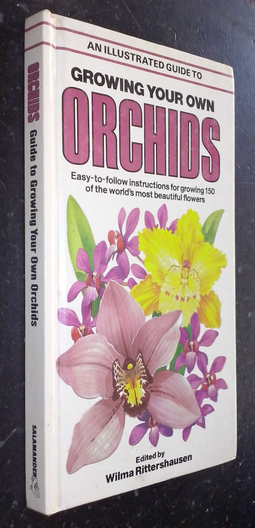 An Illustrated Guide to Growing Your Own Orchids by Wilma Rittershausen ...