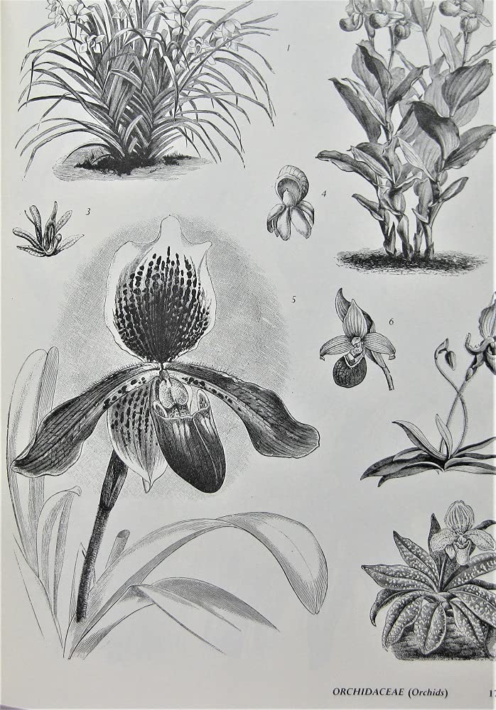 The Plant Kingdom Compendium by Jim Harter | Goodreads