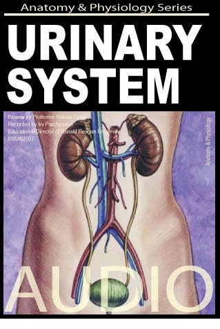 Urinary System: The Anatomy & Physiology, Audio Course by Natalia Foley ...