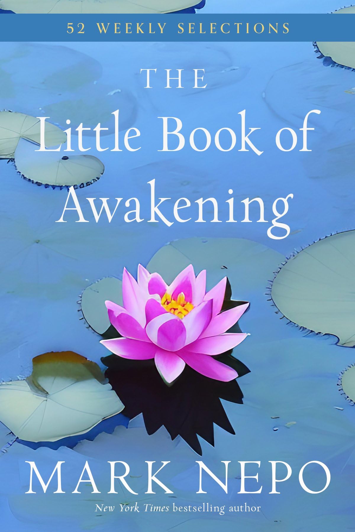 The Little Book of Awakening: 52 Weekly Selections by Mark Nepo | Goodreads