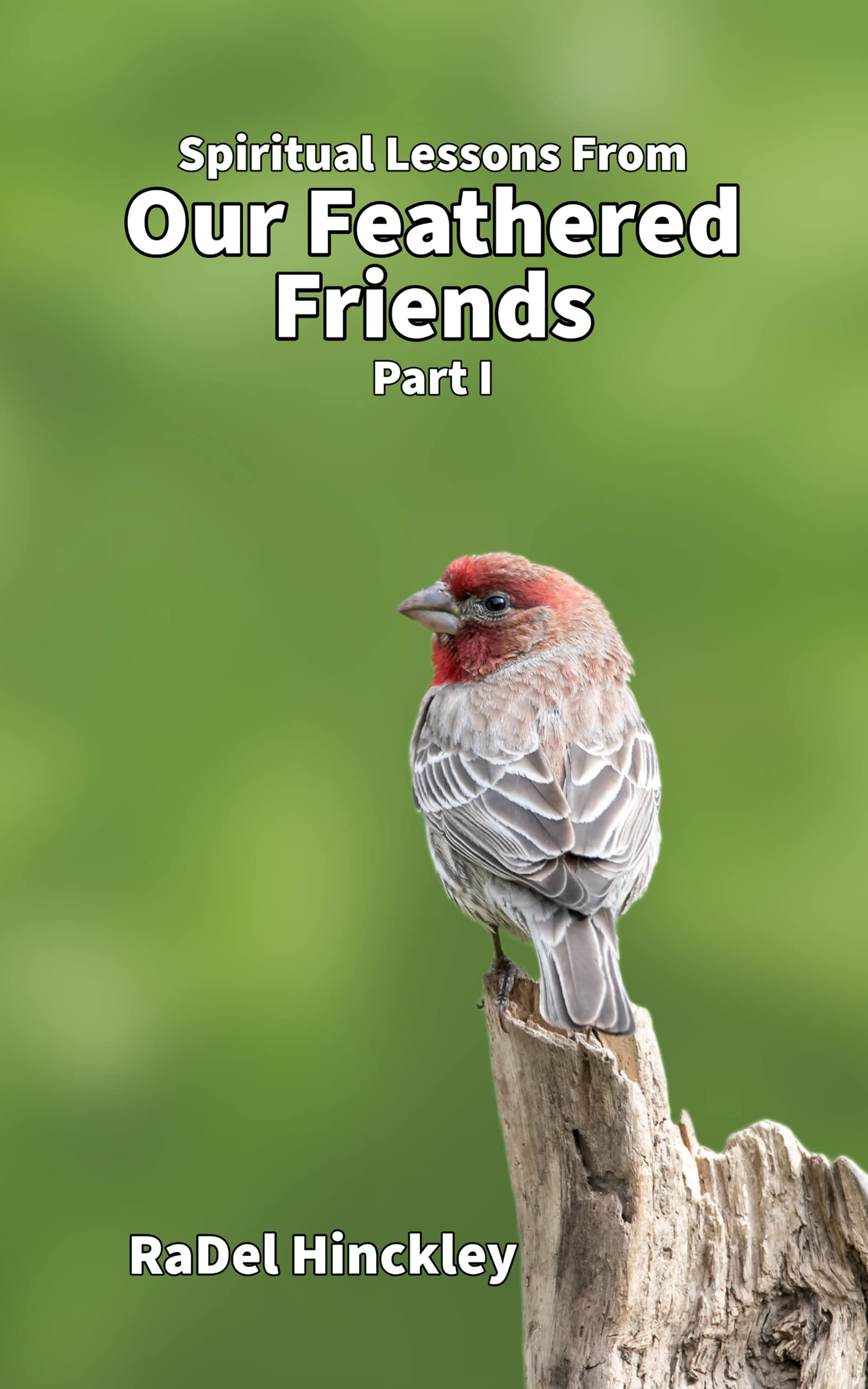 Spiritual Lessons From Our Feathered Friends: Part I by RaDel Hinckley ...