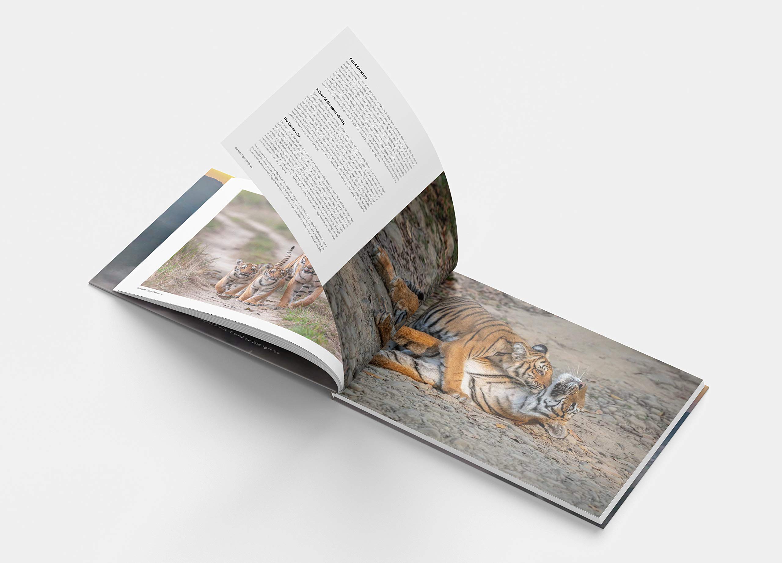 Corbett Tiger Reserve by Tiger Conservation Foundation | Goodreads