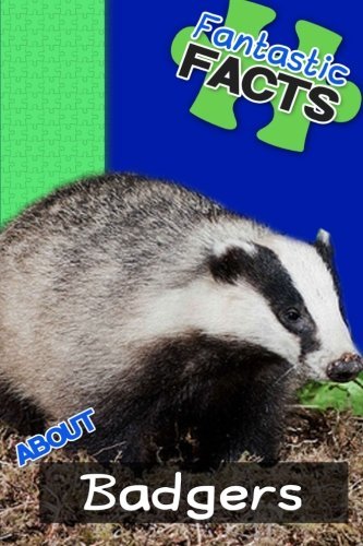 Fantastic Facts About Badgers: Illustrated Fun Learning For Kids ...