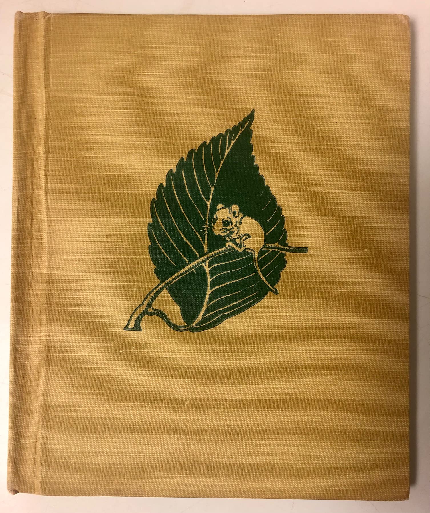 The Littlest Mouse by Dorothy P. Lathrop | Goodreads