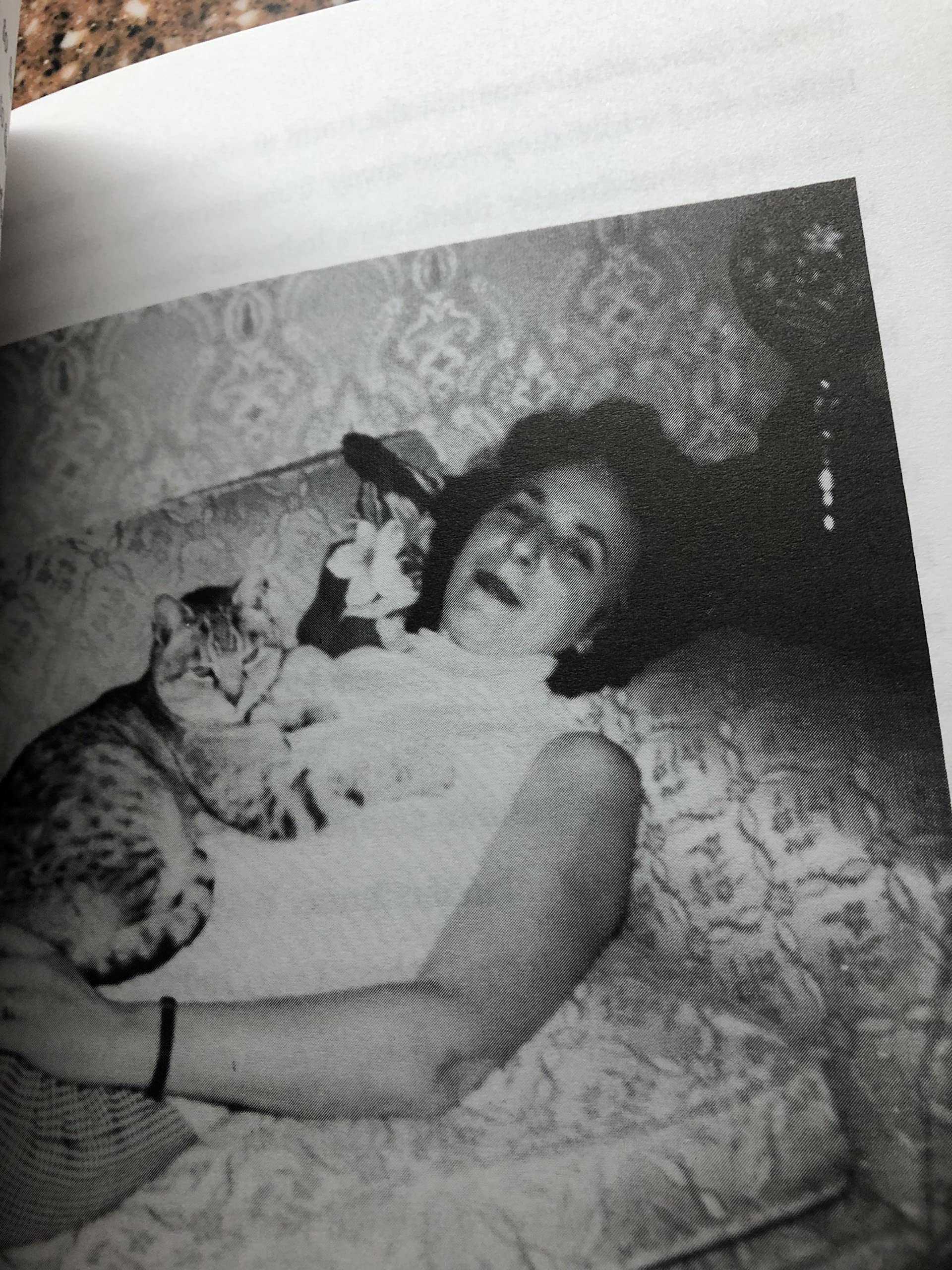 Miracle of Morris the Cat by George-Alex Gault | Goodreads