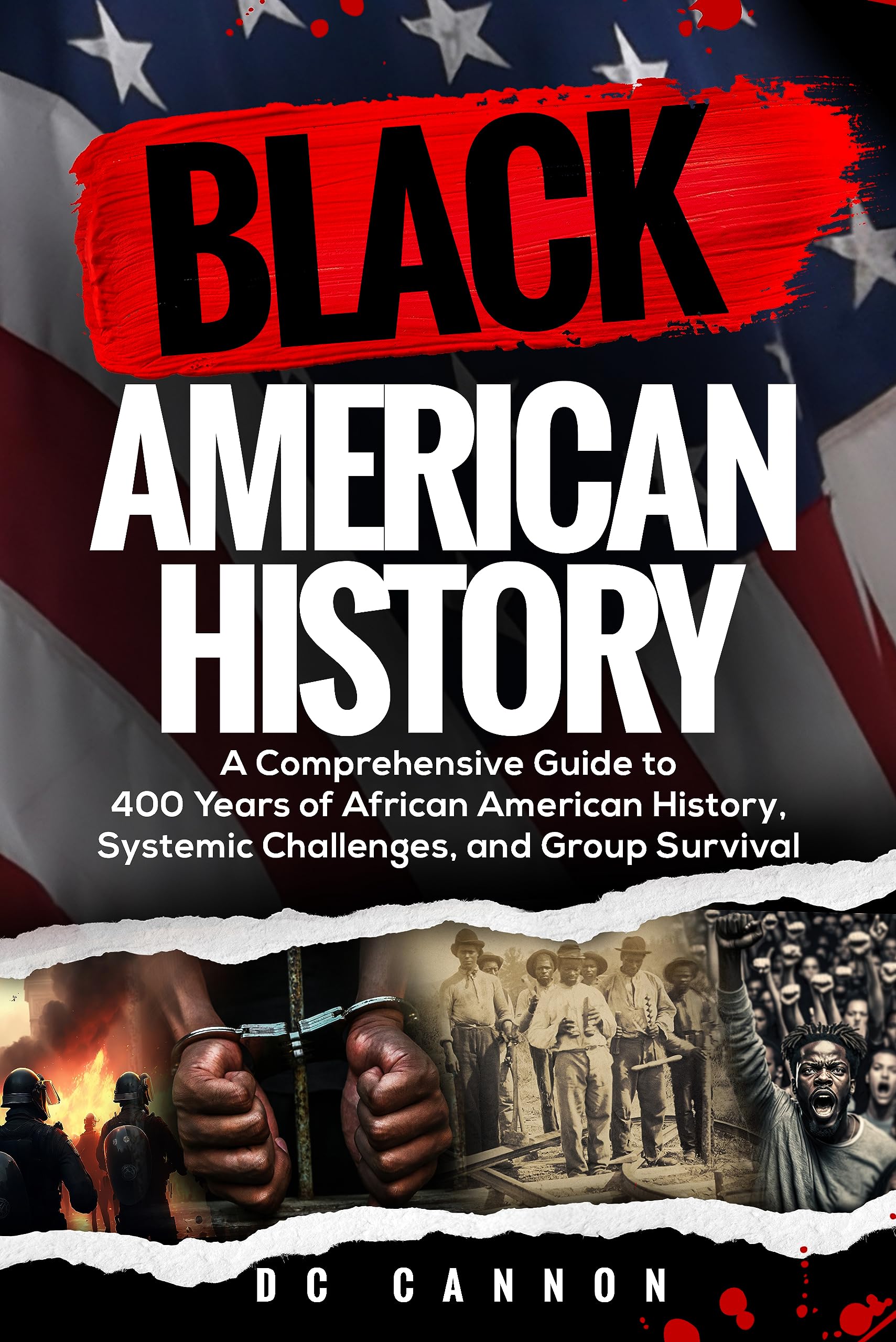 Black American History: A Comprehensive Guide to 400 Years of African ...