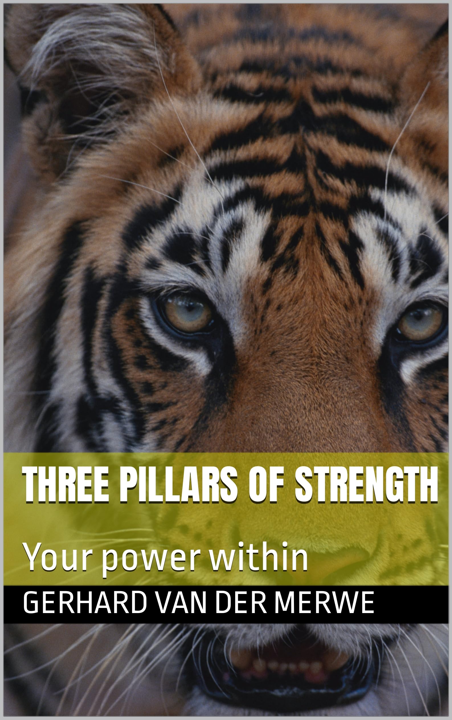 Three pillars of strength: Your power within by Gerhard van der Merwe ...