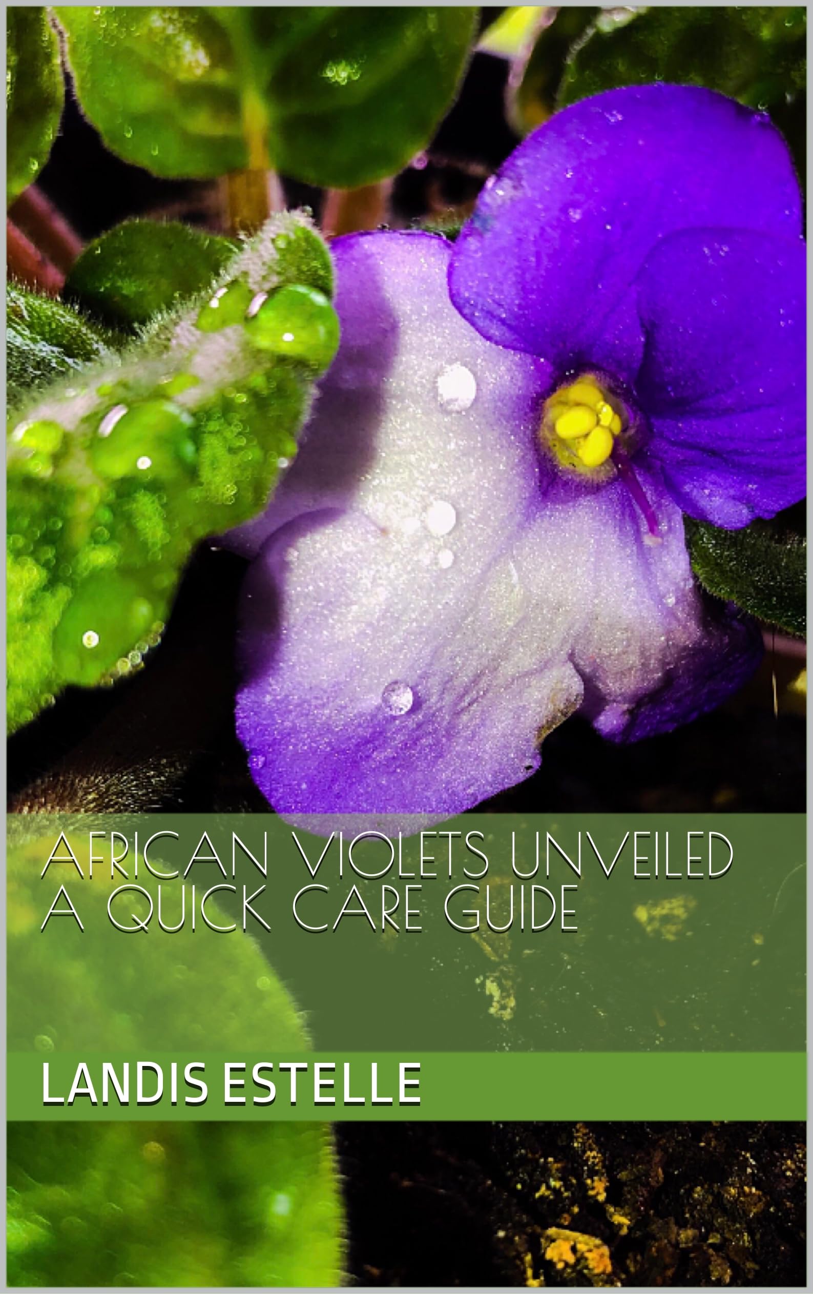African Violets Unveiled A quick care guide by Landis Estelle | Goodreads
