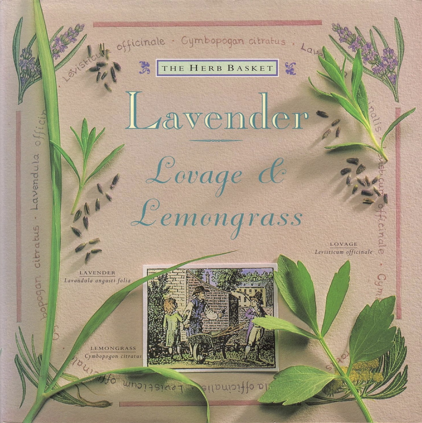Lavender: Lovage and Lemongrass by Hazel Evans | Goodreads