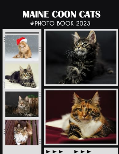 Maine Coon Cats Photo Album Book: Animals Collection Photo Picture Book ...