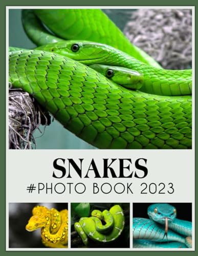 SNAKES Photo Book: Animals Collection Photo Picture Book With 30 ...