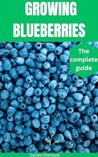 GROWING BLUEBERRIES (Fruits farming) by Davies Cheruiyot | Goodreads