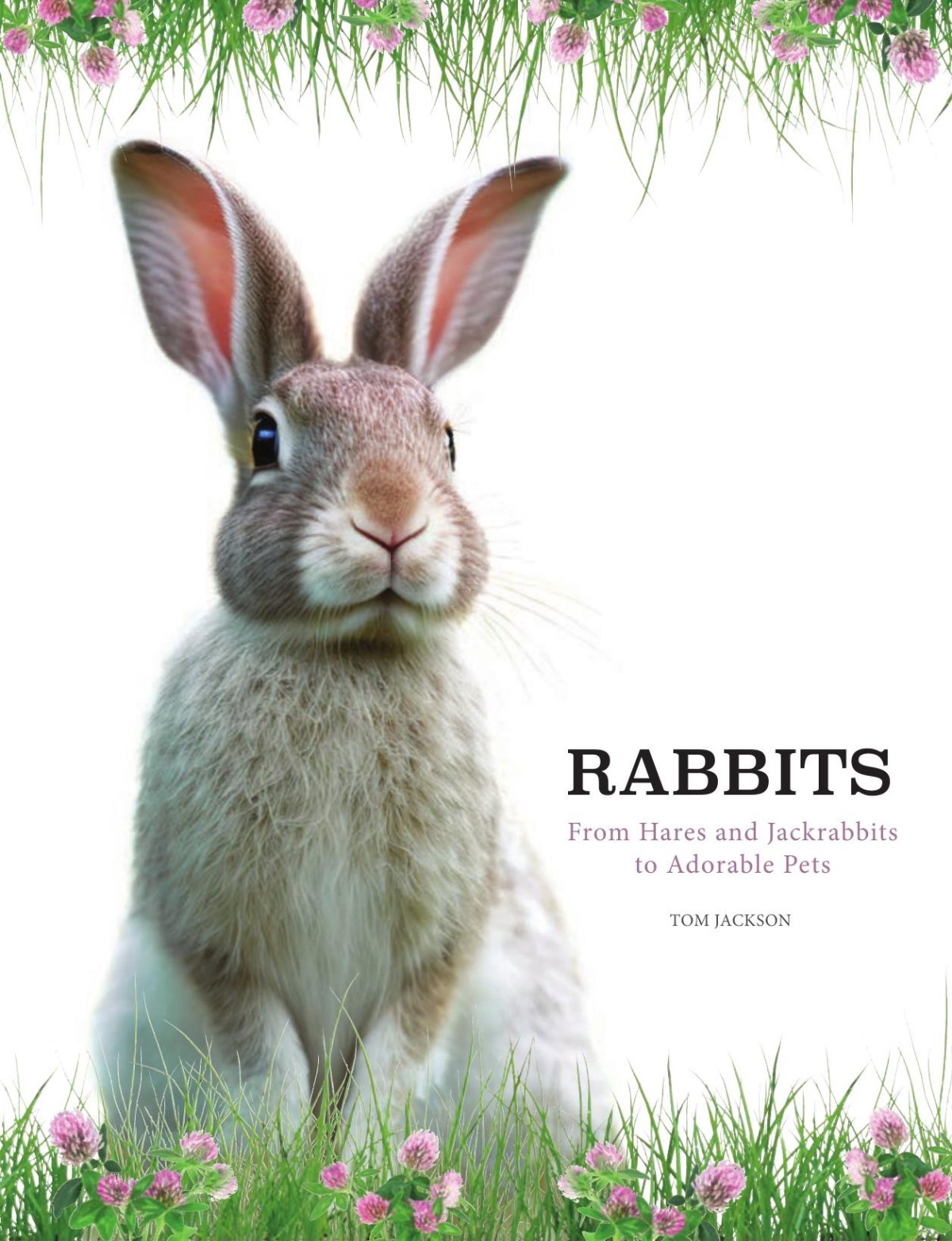 Rabbits by Tom Jackson | Goodreads