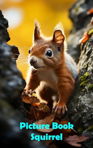 Squirrels at Play: Fun and Frolic Captured: Playful Squirrels Engaging ...