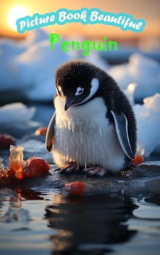 The Grace of Penguins: Antarctic Wonders: Penguins' Graceful Movements ...